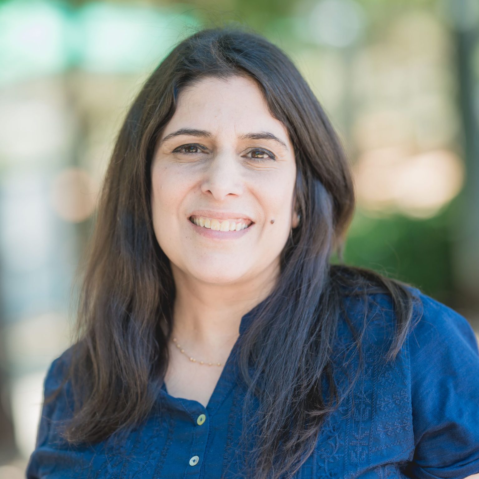 Our Team & Board – ICEI